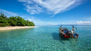 Where to see dugongs in Vanuatu | Dive with dugongs in Vanuatu